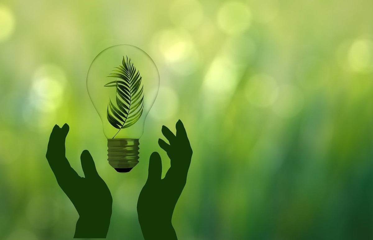 Energiesparen im Alltag: Die besten Tipps für einen effizienten Hausha